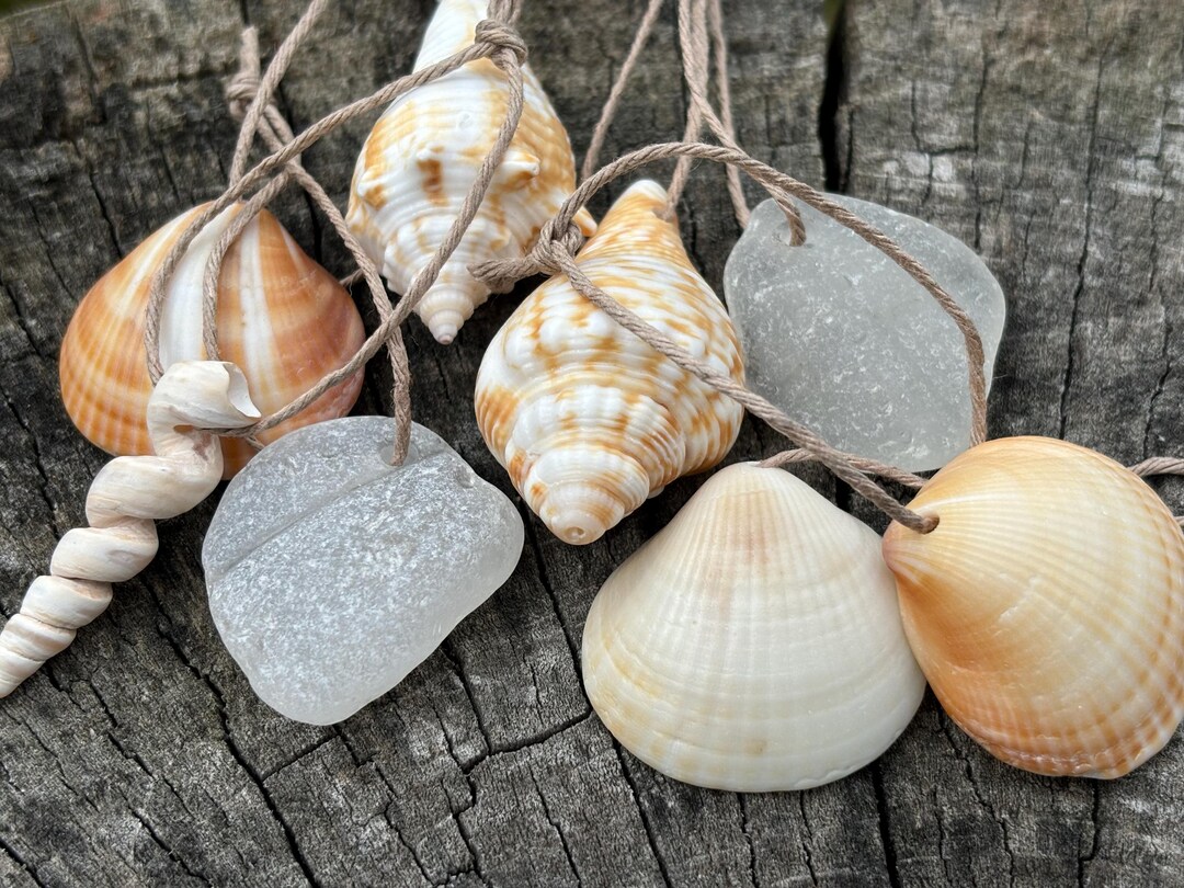 Seashell Beach Glass Ornaments Simple Coastal Decor Small Shell ...