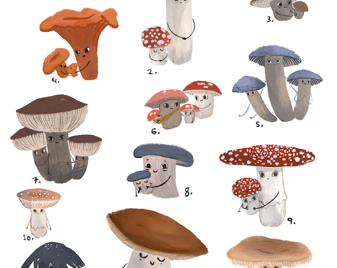 Printable Digital Mushroom Chart, Mushroom Poster - Etsy