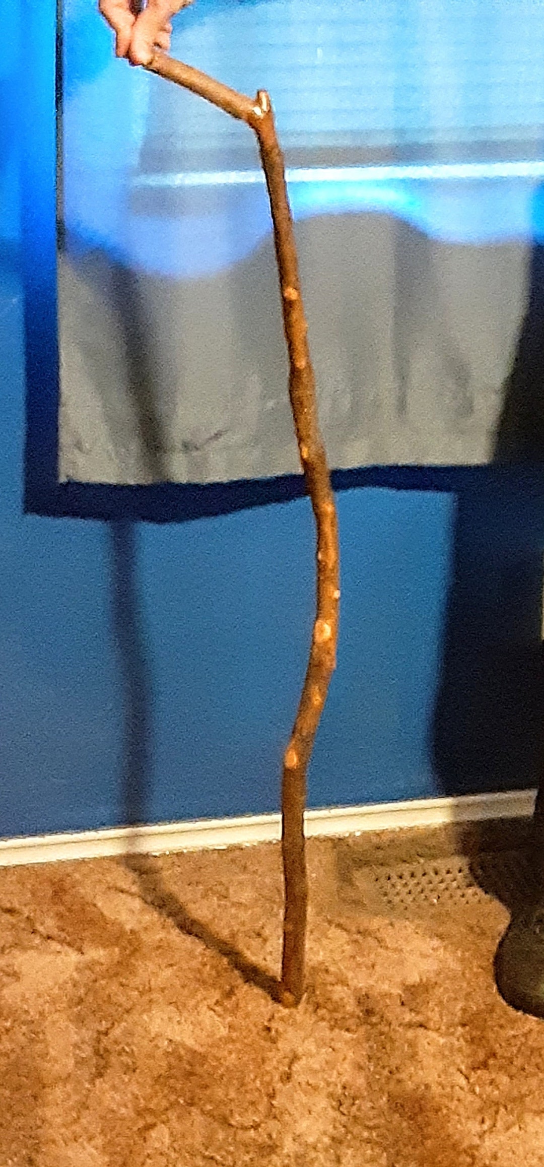 Maple Wood Cane Balance Aid Gift for Men or Women Artisan Handmade ...