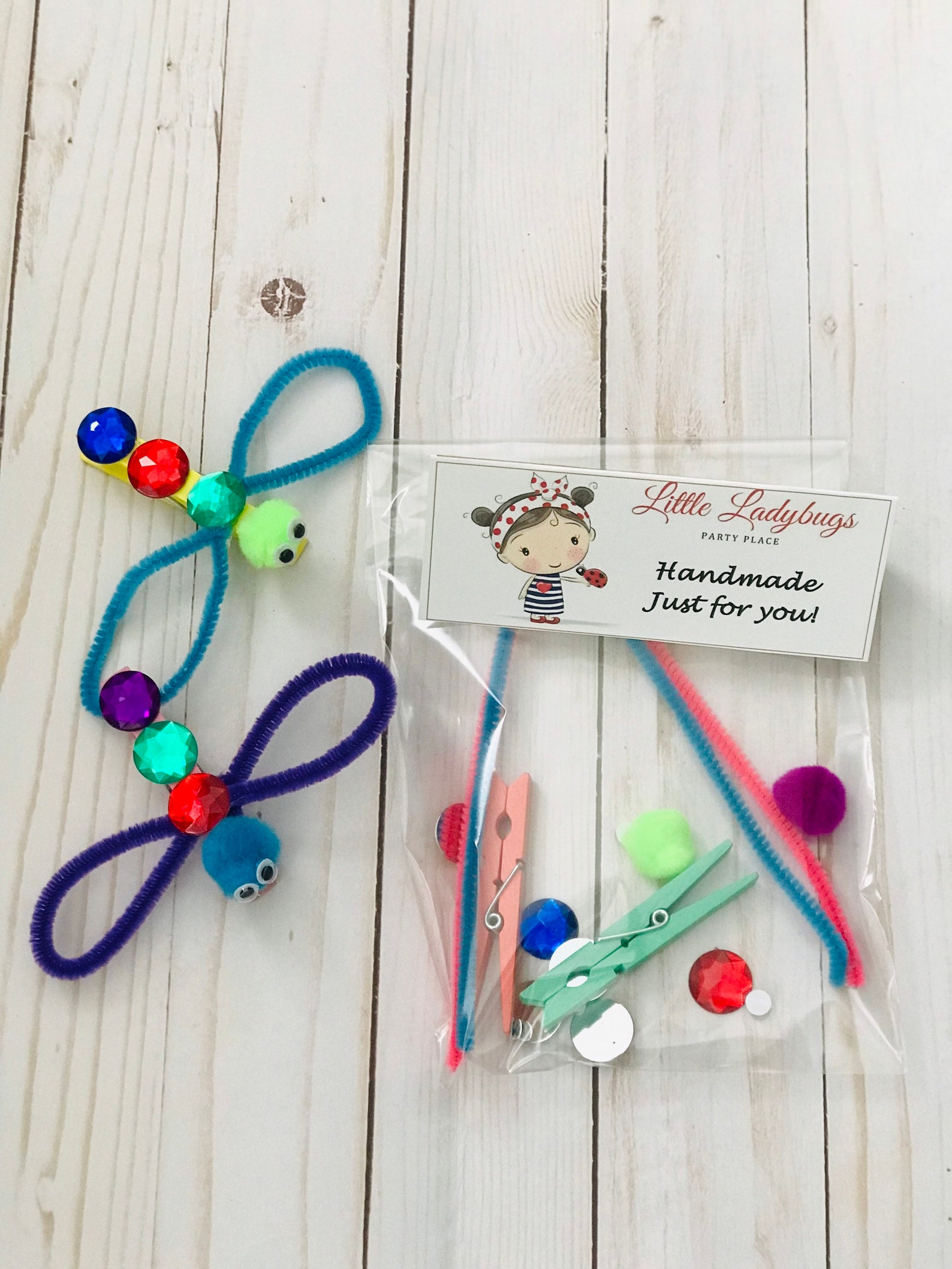 Personalized Dragonfly Craft Kit Birthday Party Craft Favors | Etsy