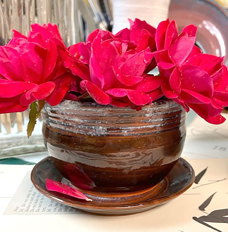 Mulberry Planter Set - Etsy