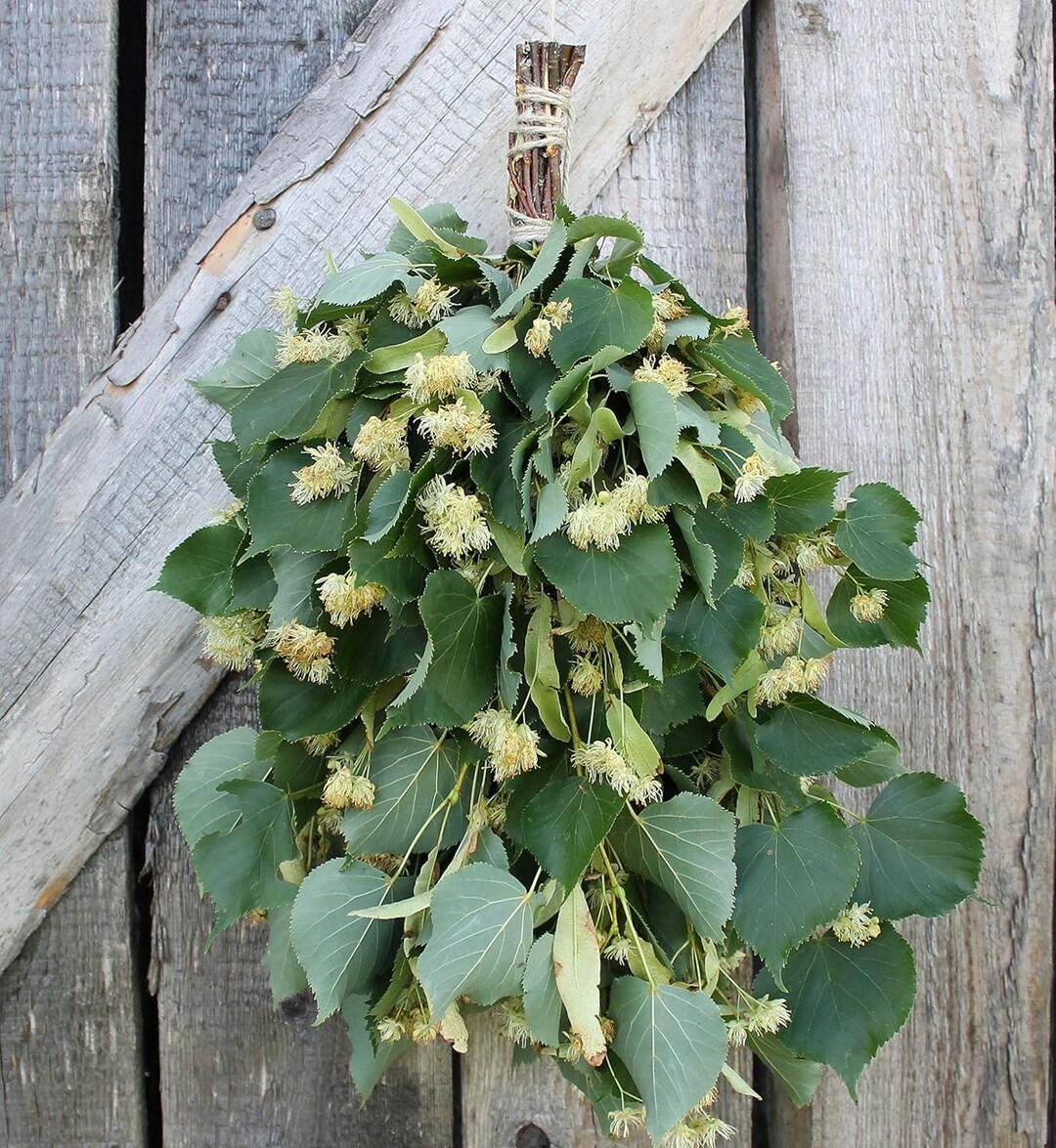 Venik Sauna Linden Brooms Banya Linde - Etsy