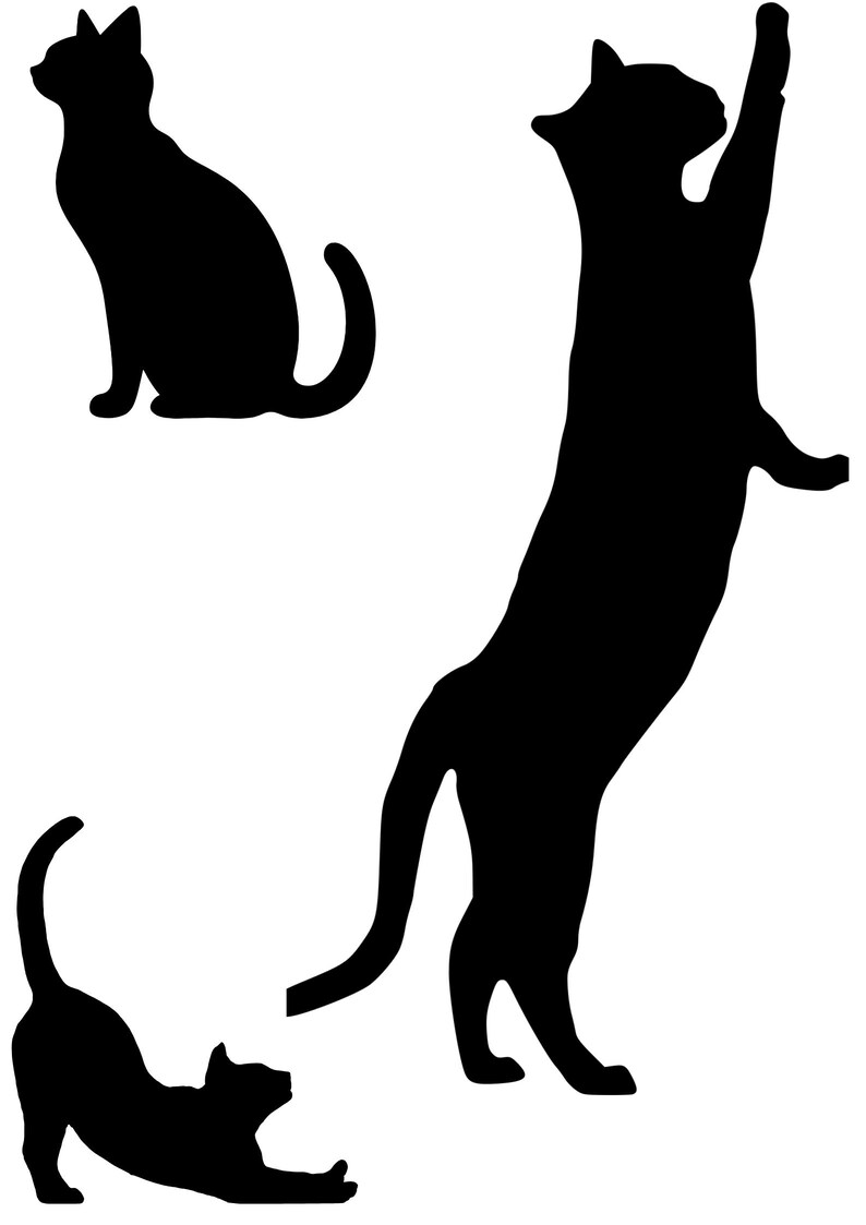 CAT Themed Poster - Etsy