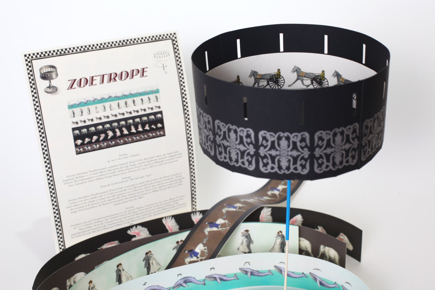 Zoetrope 6 Strip - Etsy
