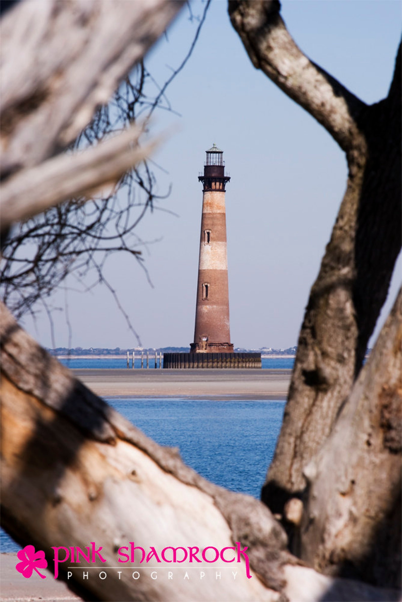Lighthouse Through the Trees Fine Art Print - Etsy