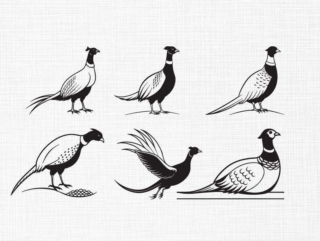 Pheasant Embroidery Design, Pheasant Applique Silhouette Embroidery ...