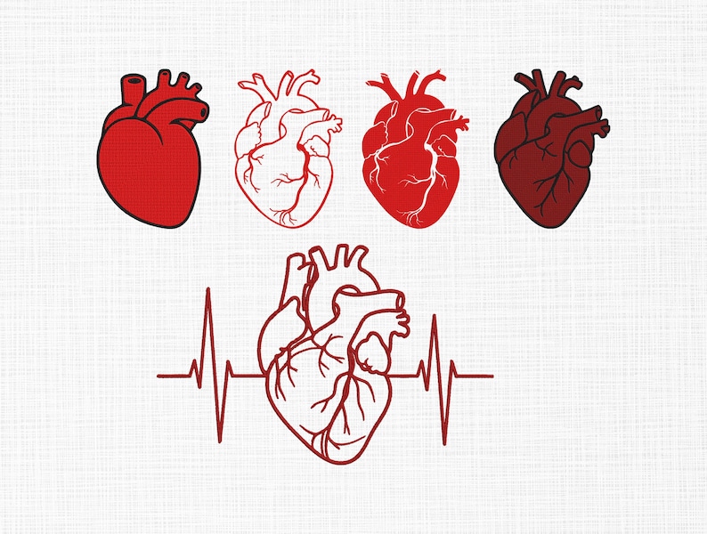 Anatomical Heart Embroidery Design, Heart Applique Embroidery, Heart ...