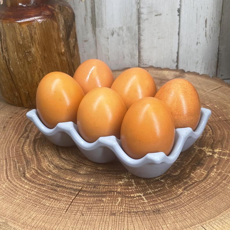 Handcrafted Concrete Egg Carton Display: Kitchen Decor - Etsy