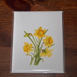A Bunch of Daffodils - Note Card - Etsy
