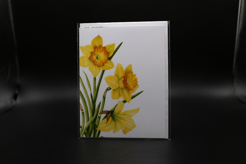 A Bunch of Daffodils - Note Card - Etsy