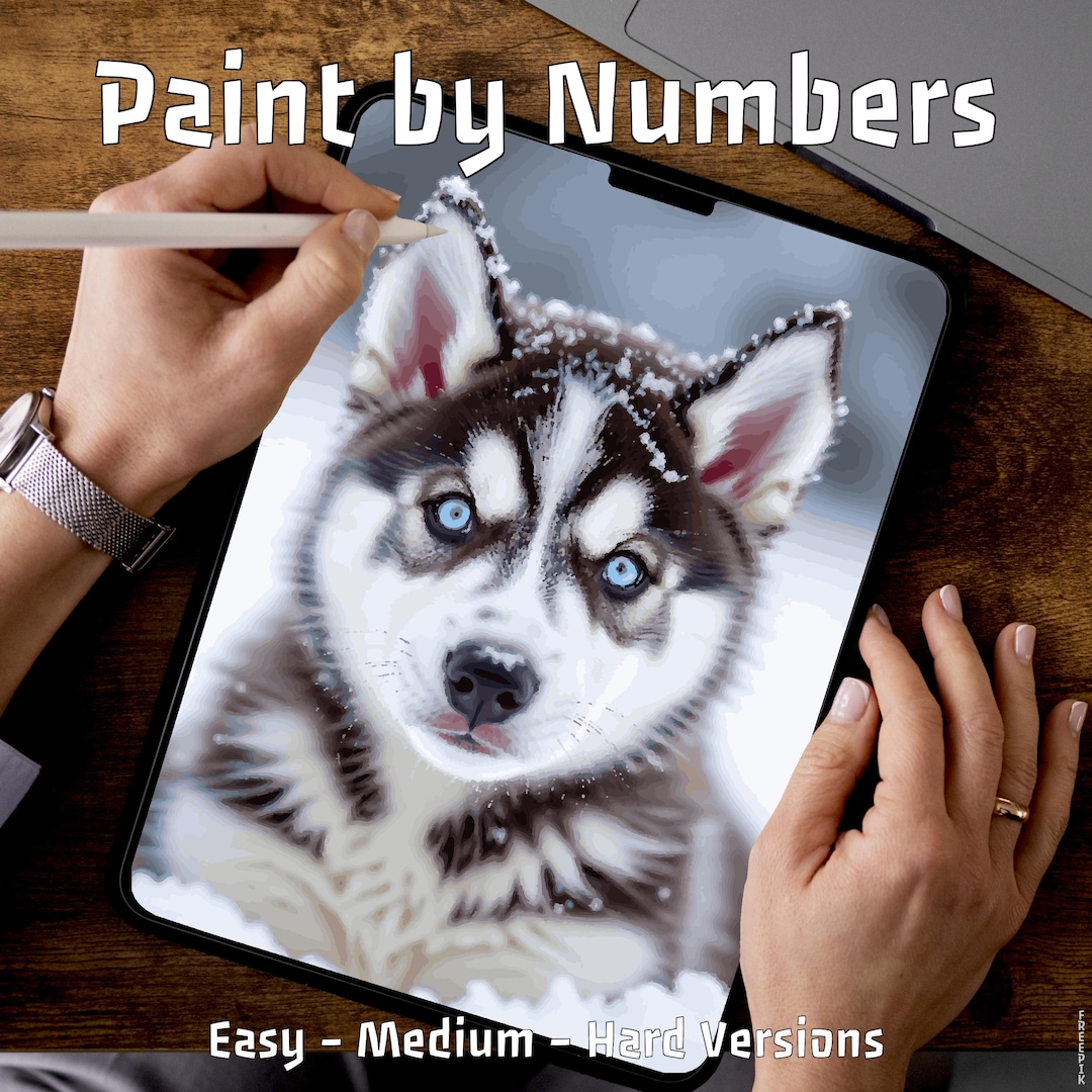 Husky Puppy | Paint by Numbers | Easy Medium Hard | Printable PDF PNG ...