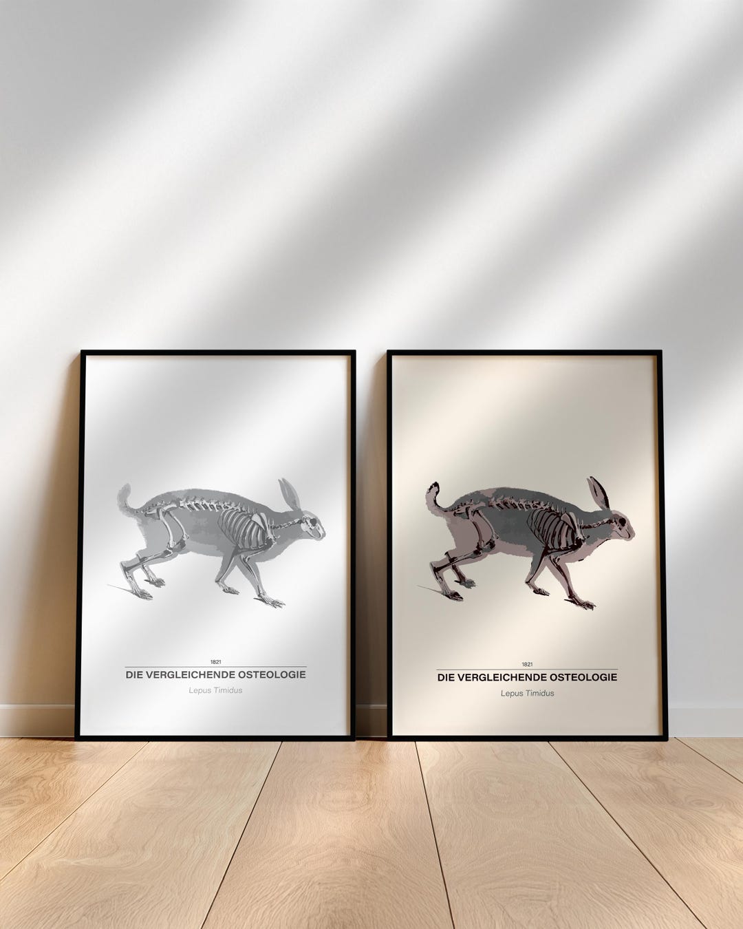 Rabbit Skeleton Poster Anatomy Print • Vintage 1821 Osteology Art ...