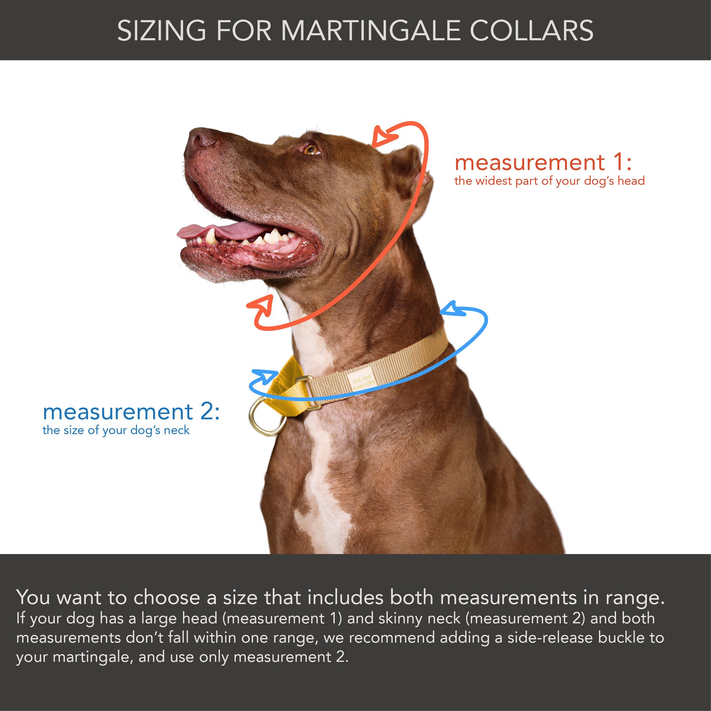 Custom Series 3 (THREE) / 3+ (THREE PLUS) Fi Compatible Martingale ...