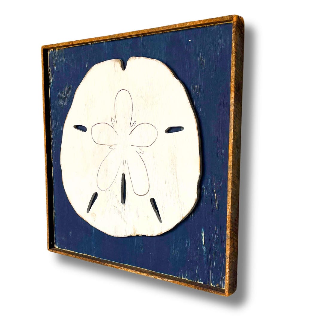 Framed Sand Dollar With Blue Background Art Coastal Wall Decor Framed ...