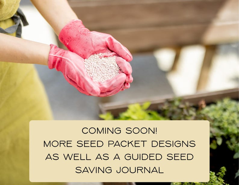 Vintage Vegetable Seed Packet Printables: Botanical Blue Designs ...