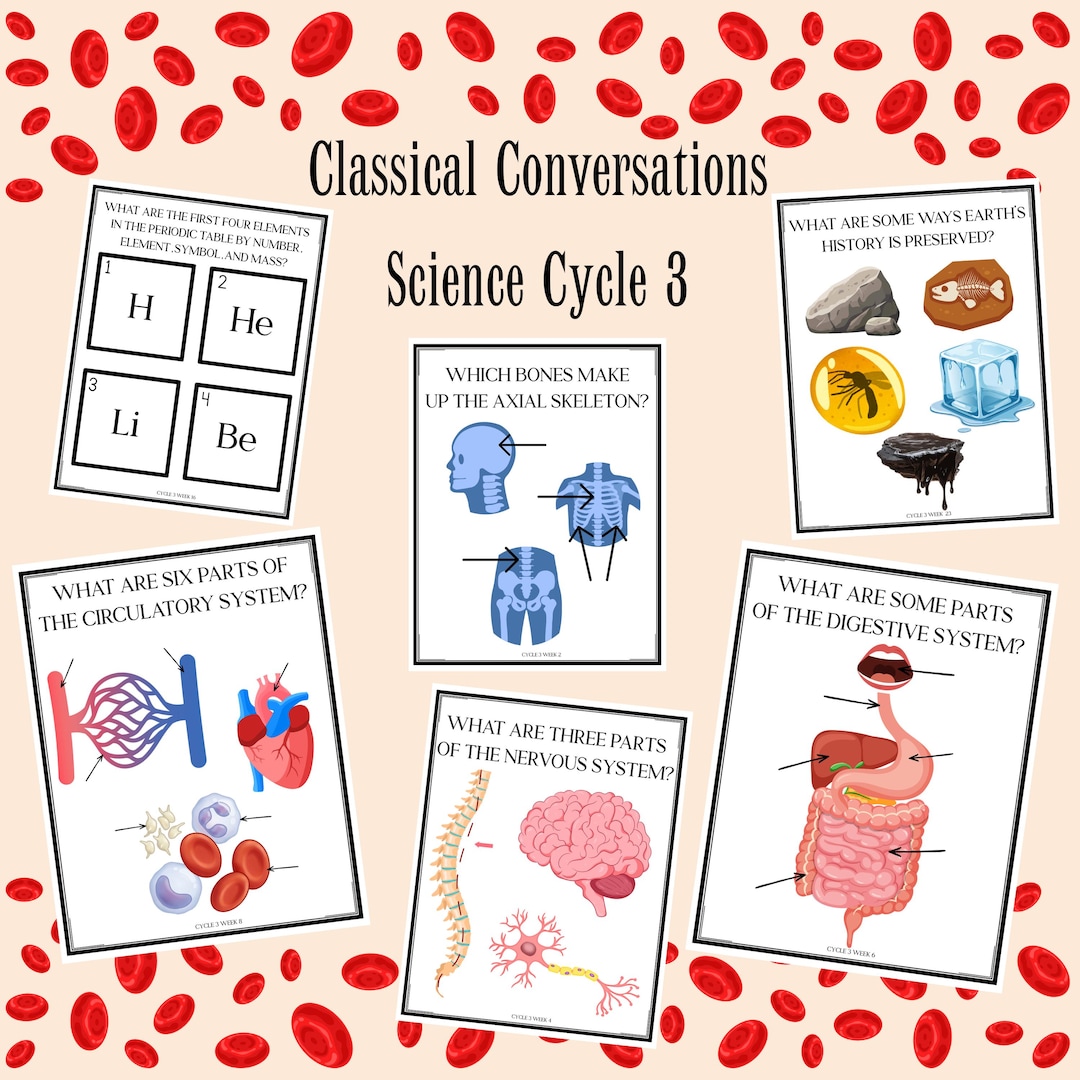 Classical Conversations Cycle 3 Science Memory Work Matching Game ...