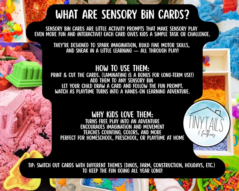 Feed the Bear Sensory Bin Activity: PDF - Etsy