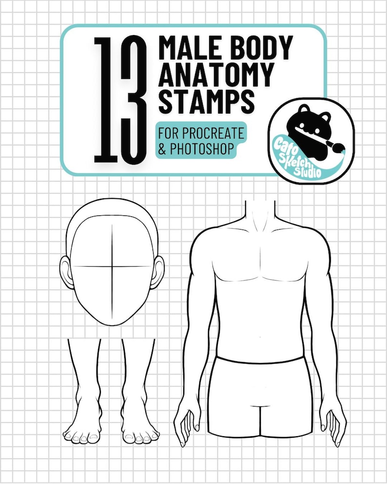 Male Body Anatomy Stamps - Etsy