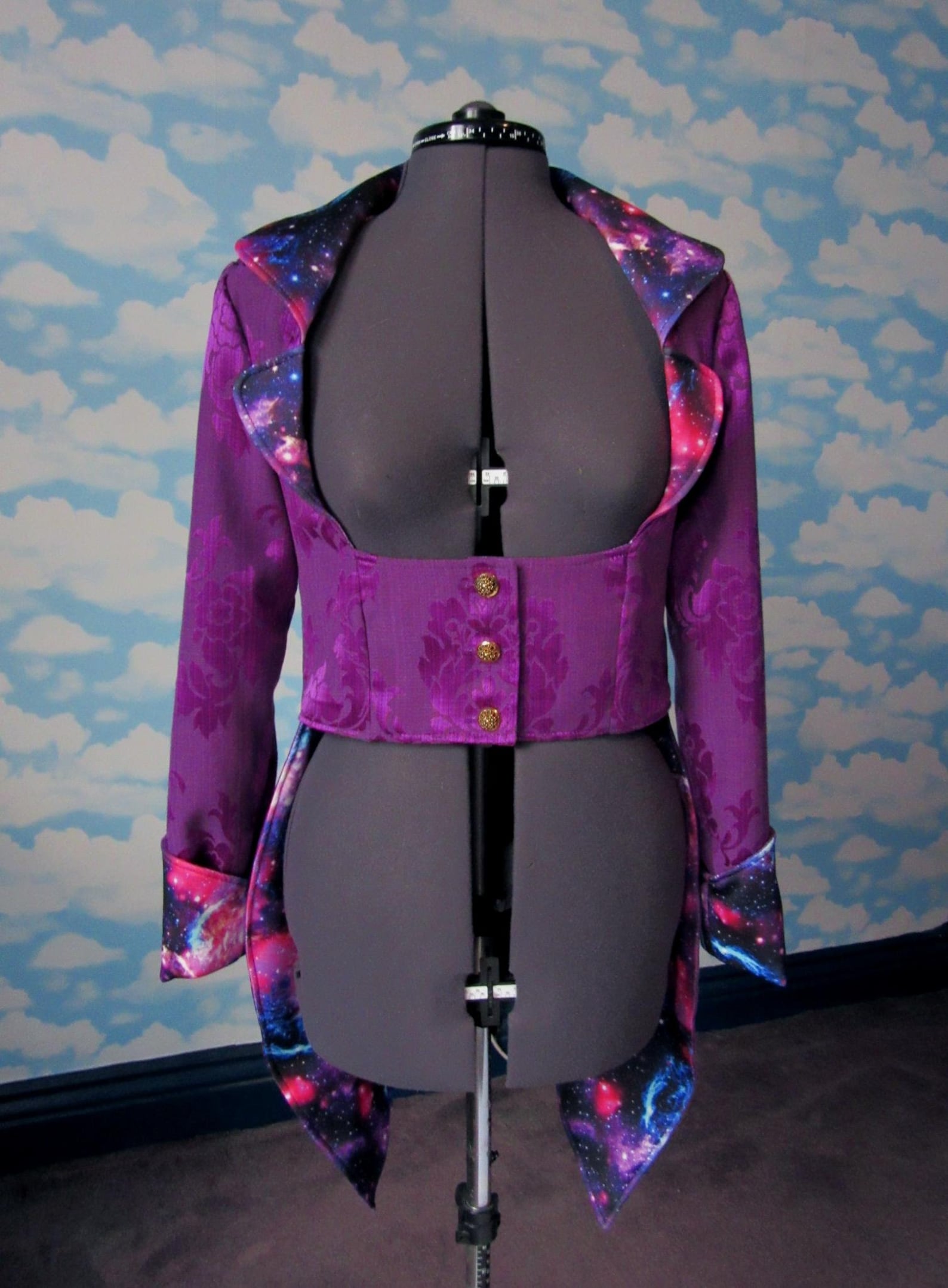 Ringmaster Coat Underbust Tailcoat Made to Order in Any Colour - Etsy