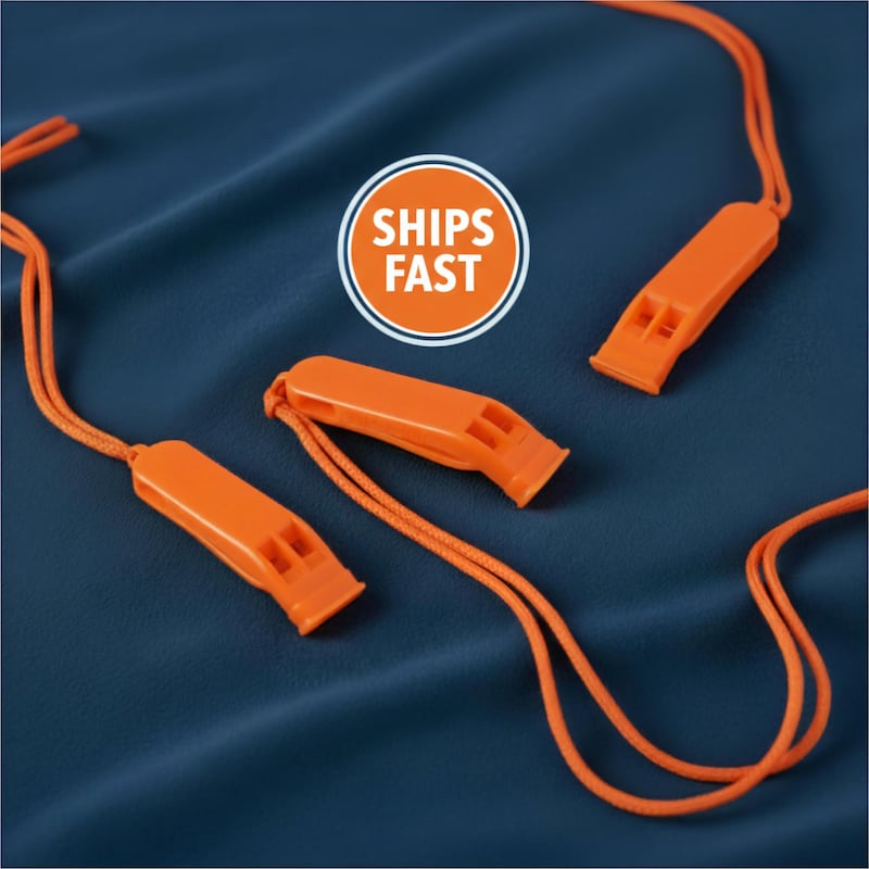 Ice Out Keychain - Etsy