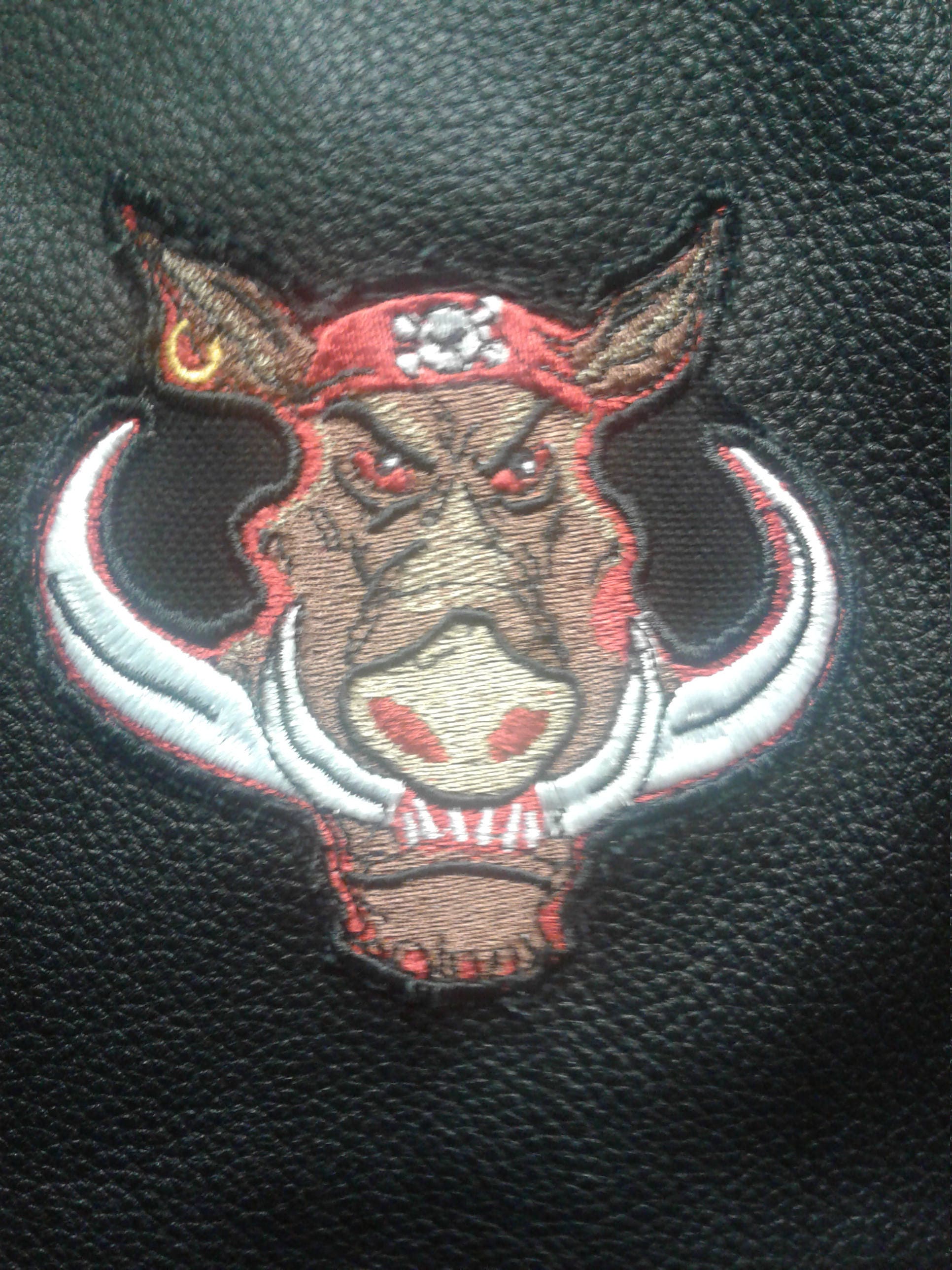 Wild Hogs Patch