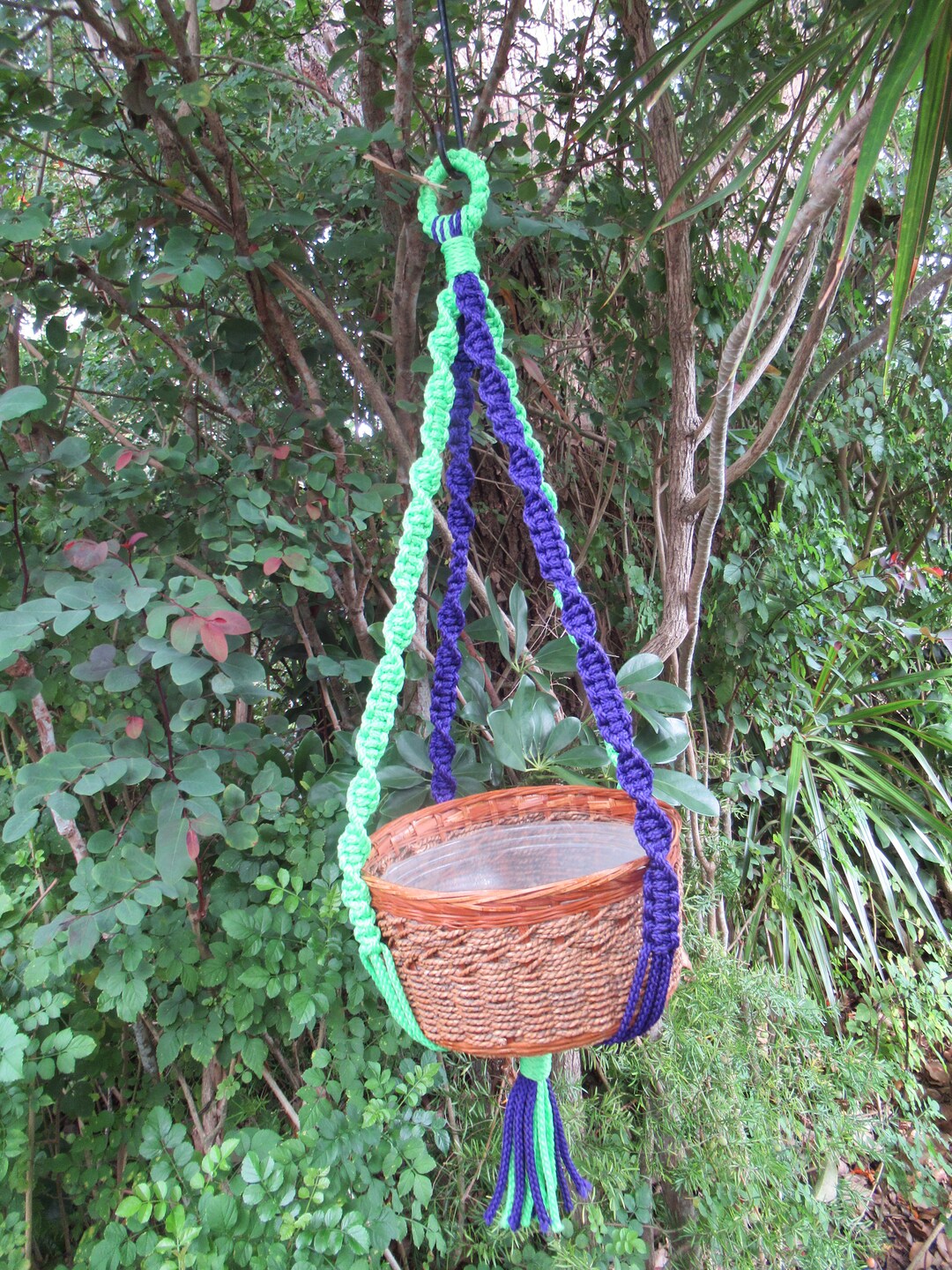 Purple Parrot 37 Inch No Beads Macrame Plant Hanger - Etsy