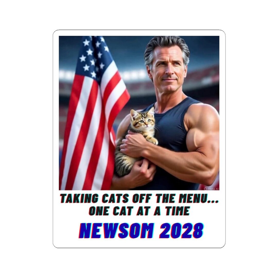 Gavin Newsom Sticker - Etsy