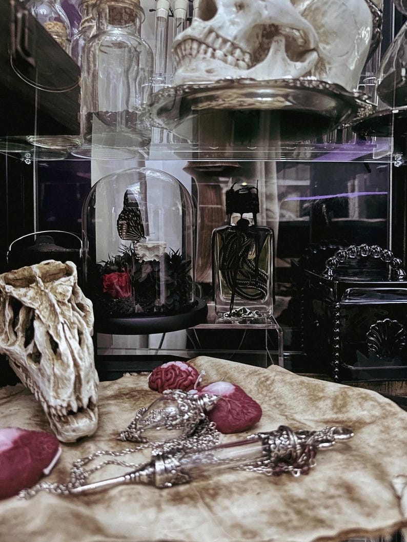 Medieval Potion Bottle Necklace, Gothic Red Syringe Pendant, Vintage ...