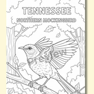 free state bird coloring pages
