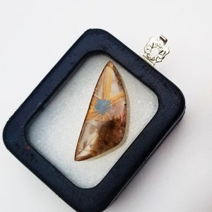 Unique Star Rutilated Quartz Over 30cts for Gemstone Collectors or ...