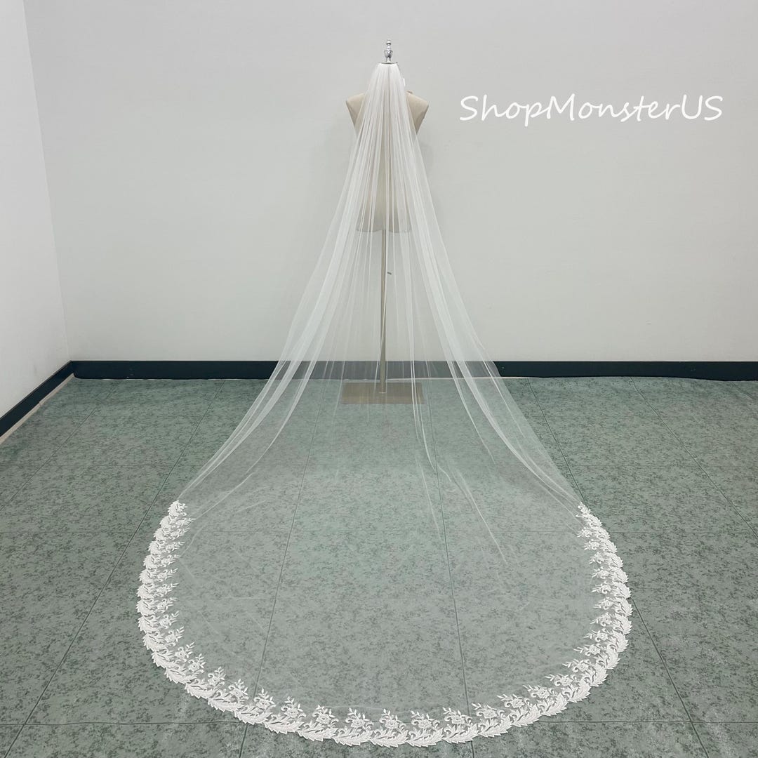 Bridal Veil With Floral-scroll Lace Trim, Cathedral Length Sheer Tulle ...