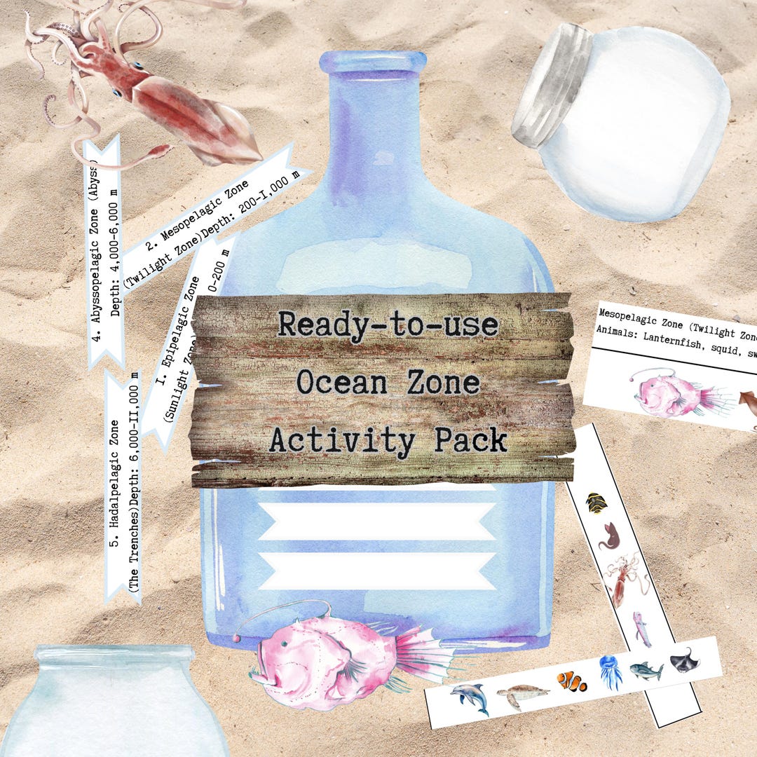 Ocean in a Bottle Activity Pack | Sea Animal Sorting & Creative Play - Etsy