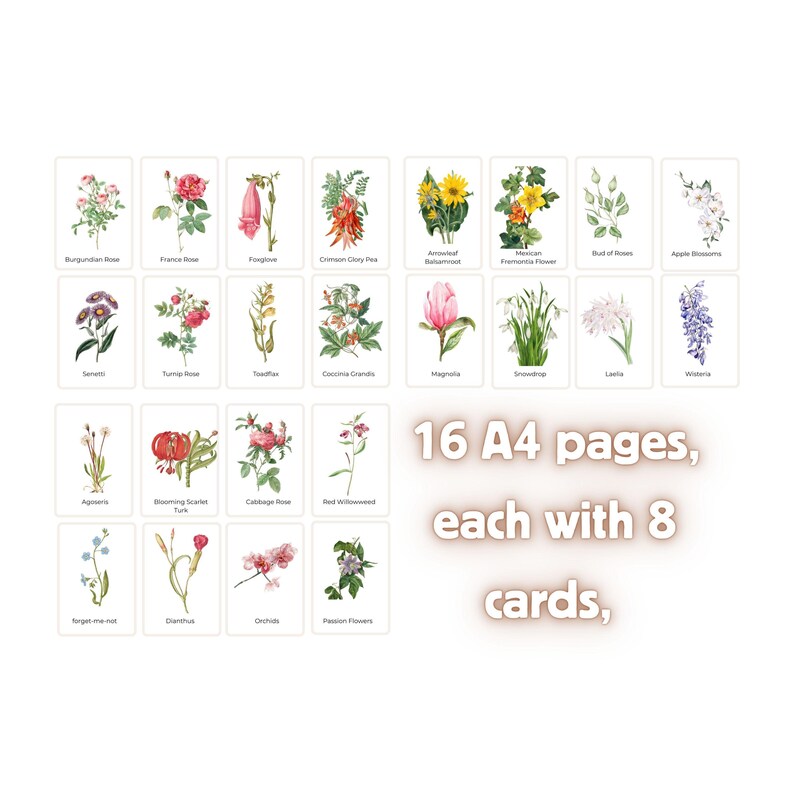 Watercolor Flower Flashcards: Printable Learning Cards (PDF) - Etsy
