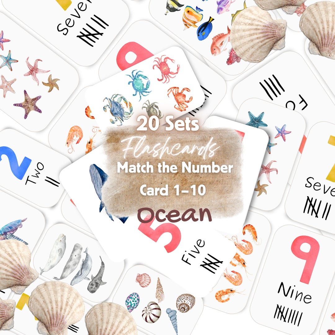 Ocean Animal Number Match | Preschool Counting Cards | Math Game | Unit ...