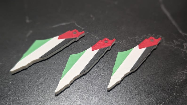 Palestine Gaza Map Keychain, Flag Colors, Durable Accessory for Keys ...