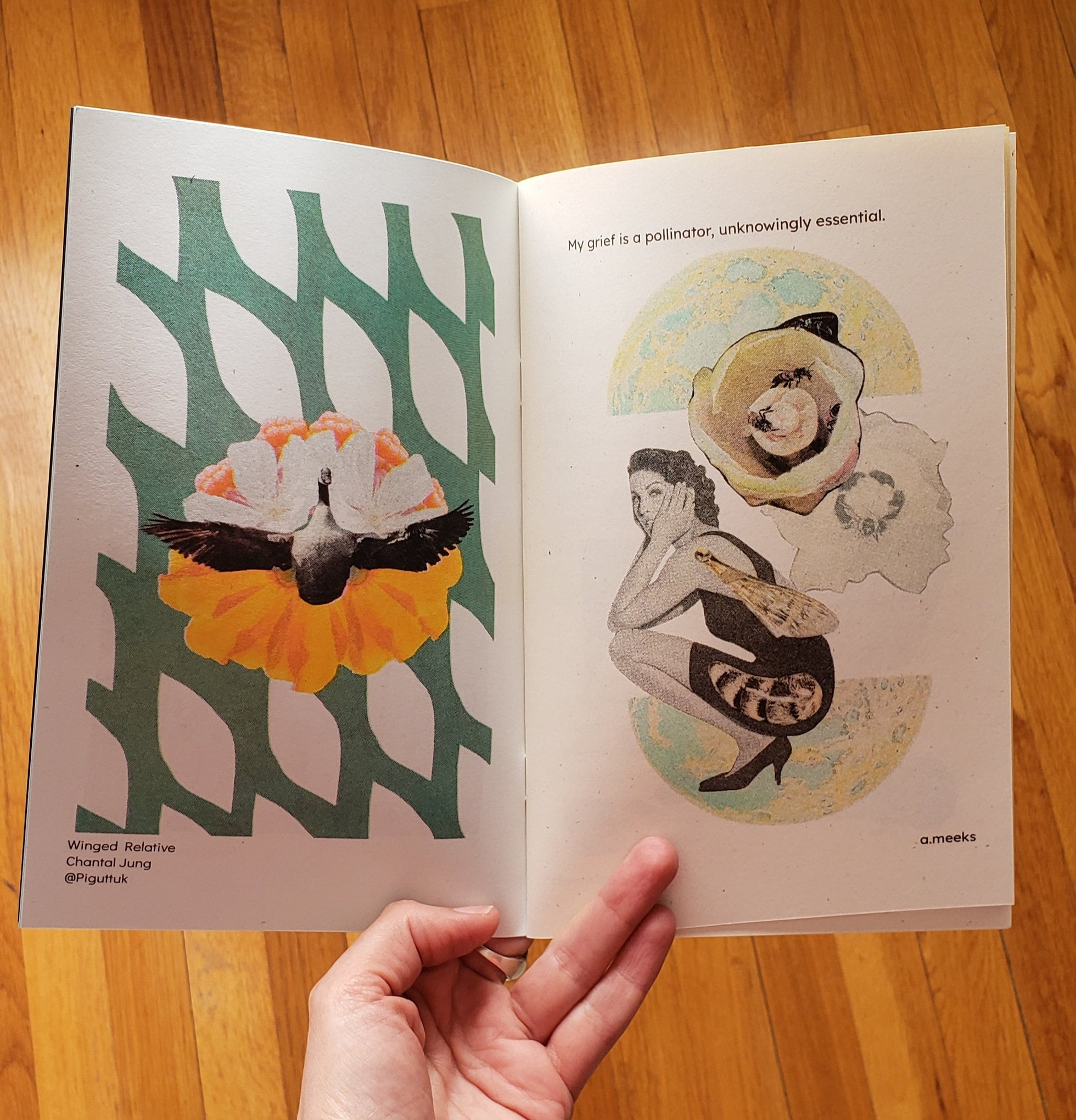 Exploring Grief as an Animal Zine 2nd Edition - Etsy