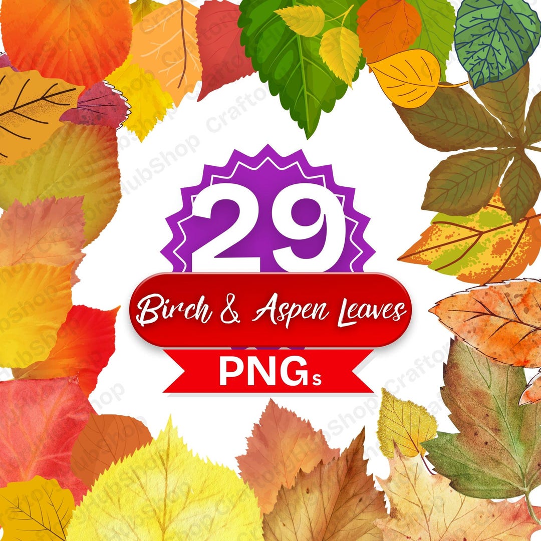 Birch & Aspen Leaves PNG Clipart Bundle, Printable Autumn Foliage ...