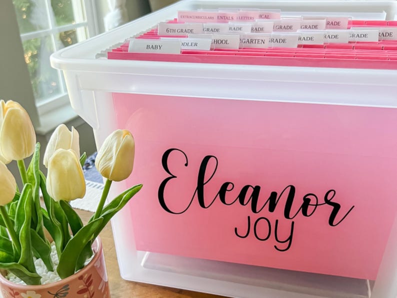 Milestone Tote Label Pastel | Memory Box School Years File Tabs | 6×4 ...