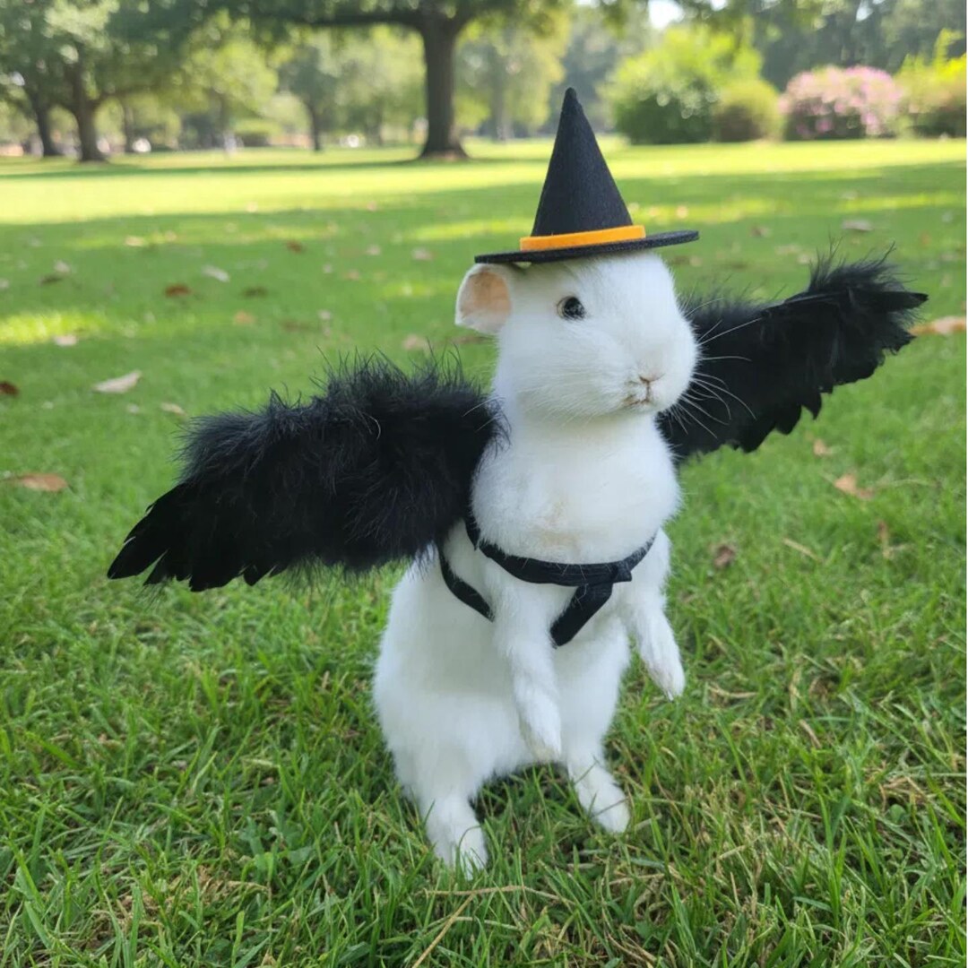 Single-head White Rabbit Taxidermy – Exquisite Snow-white Rabbit ...