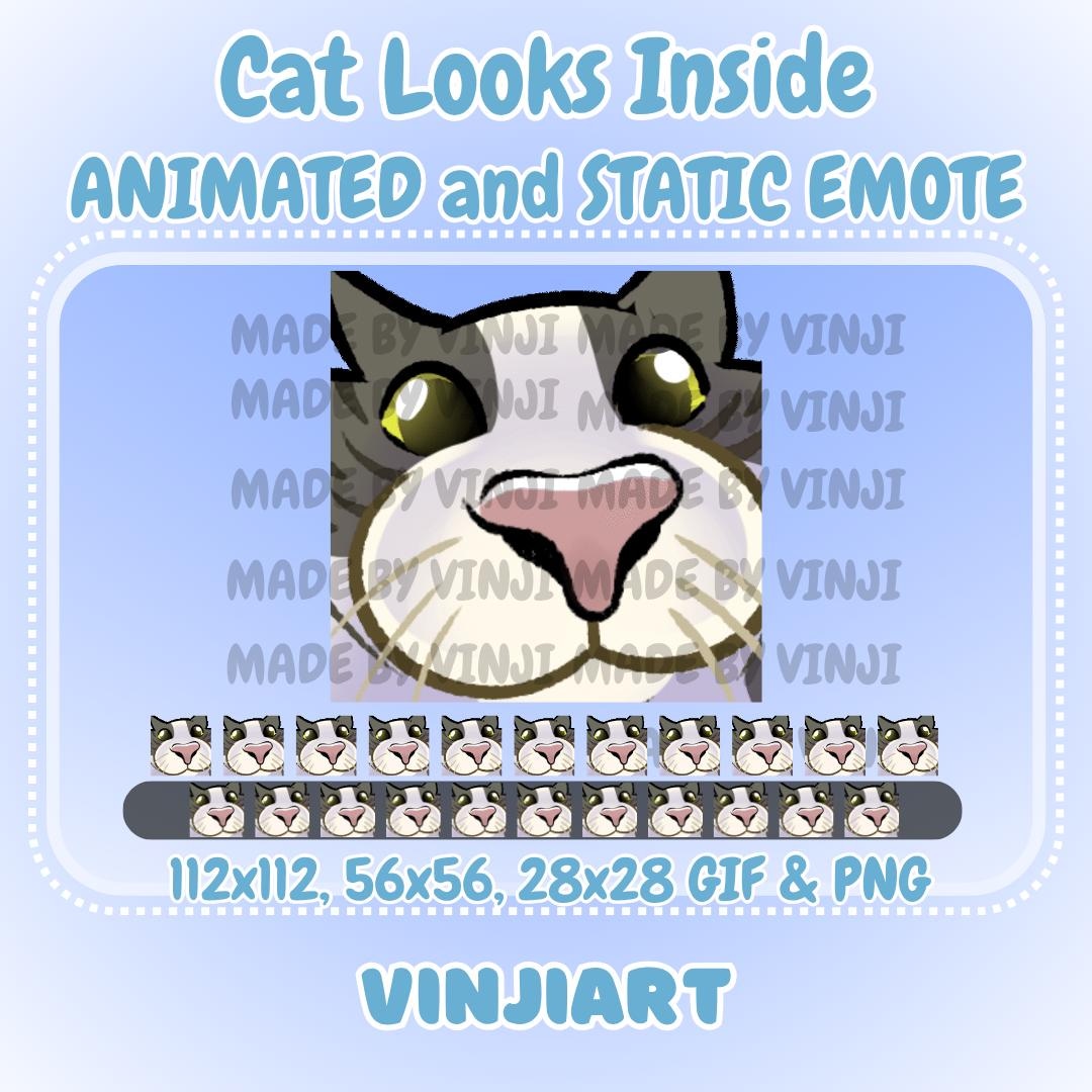 Cat Looks Inside Meme Animated Emote Gif: Twitch, Discord, Youtube ...