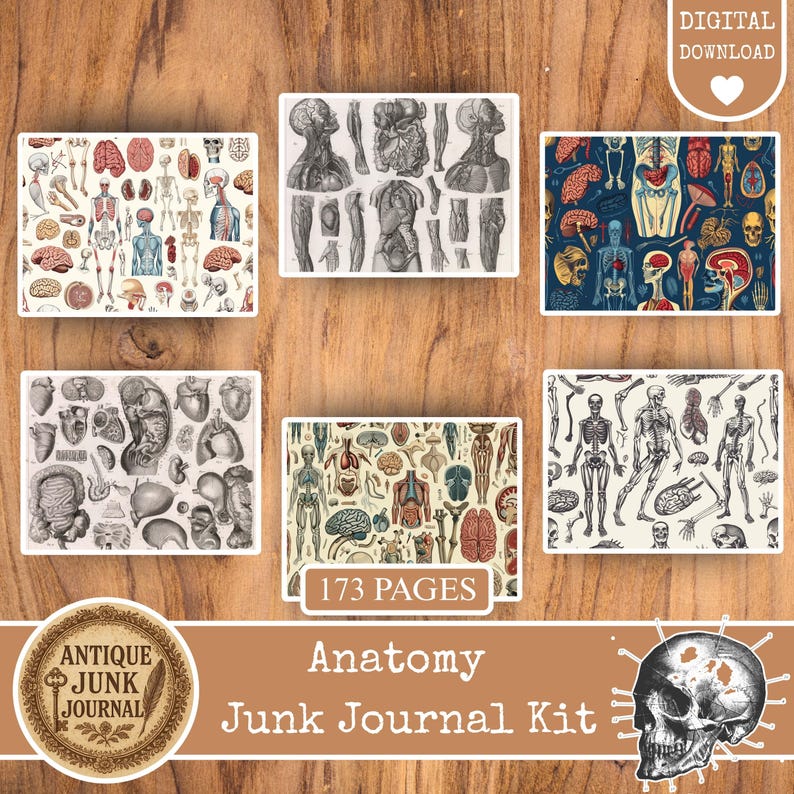 Anatomy of Madness, Gothic Junk Journal Kits, Psychiatric Ephemera ...