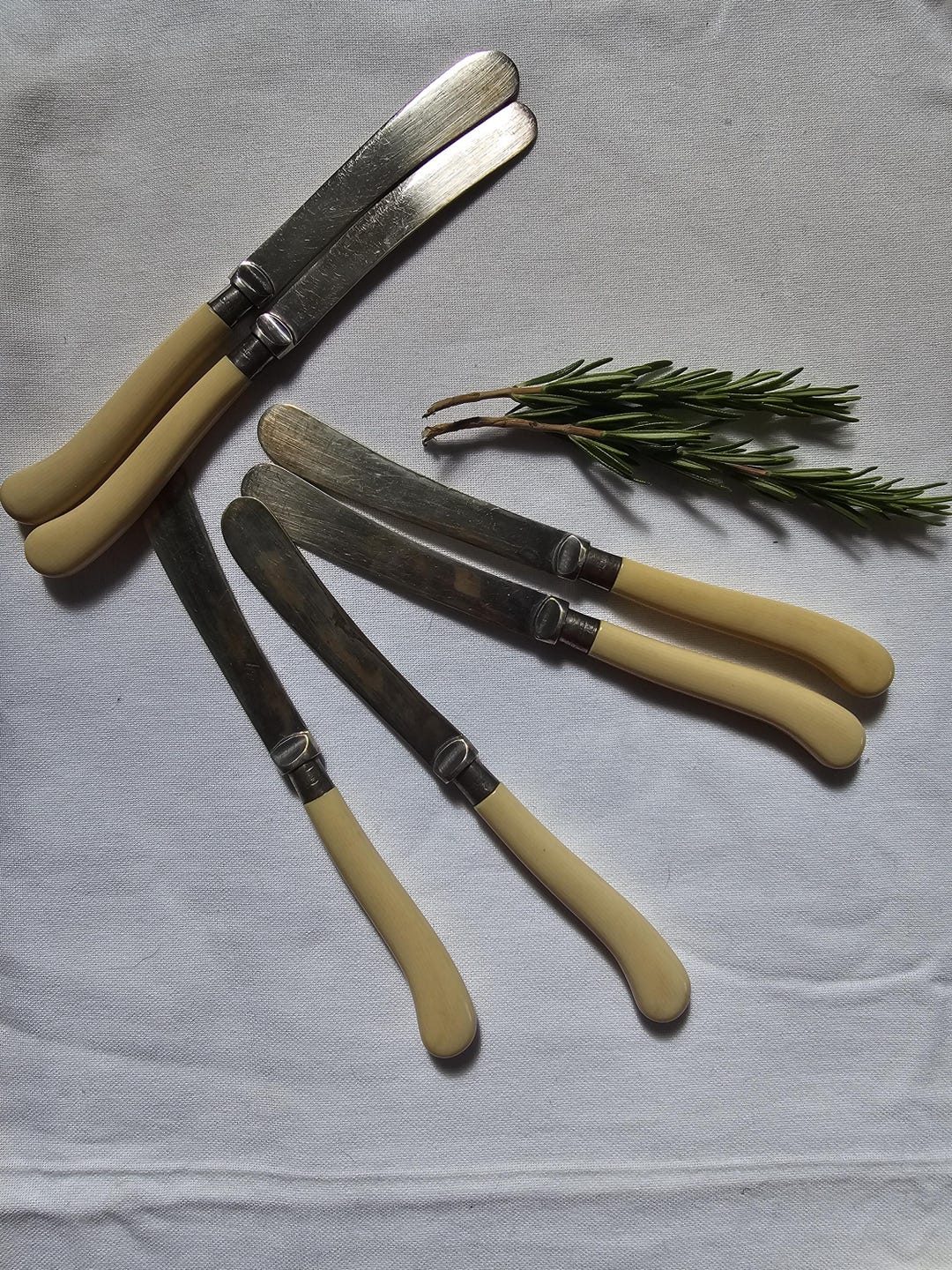 Antique 1920s EPNS Butter Knives With Ivorine Handles – Boxed Set of 6 ...