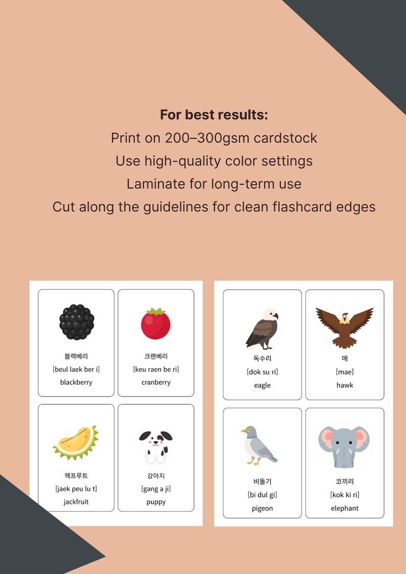 Korean Vocabulary Flashcards | Fruits & Animals Study Cards (PDF) - Etsy
