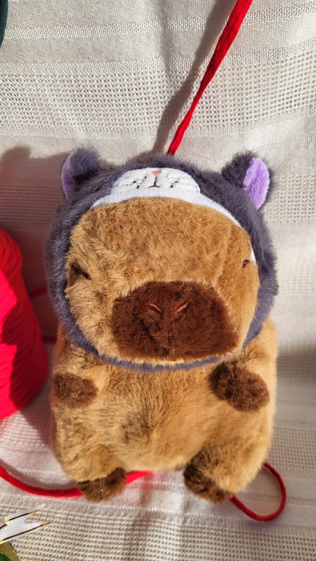 Cute Capybara Plush 22cm With Cat Hood | Kawaii Cat Hat Capybara ...