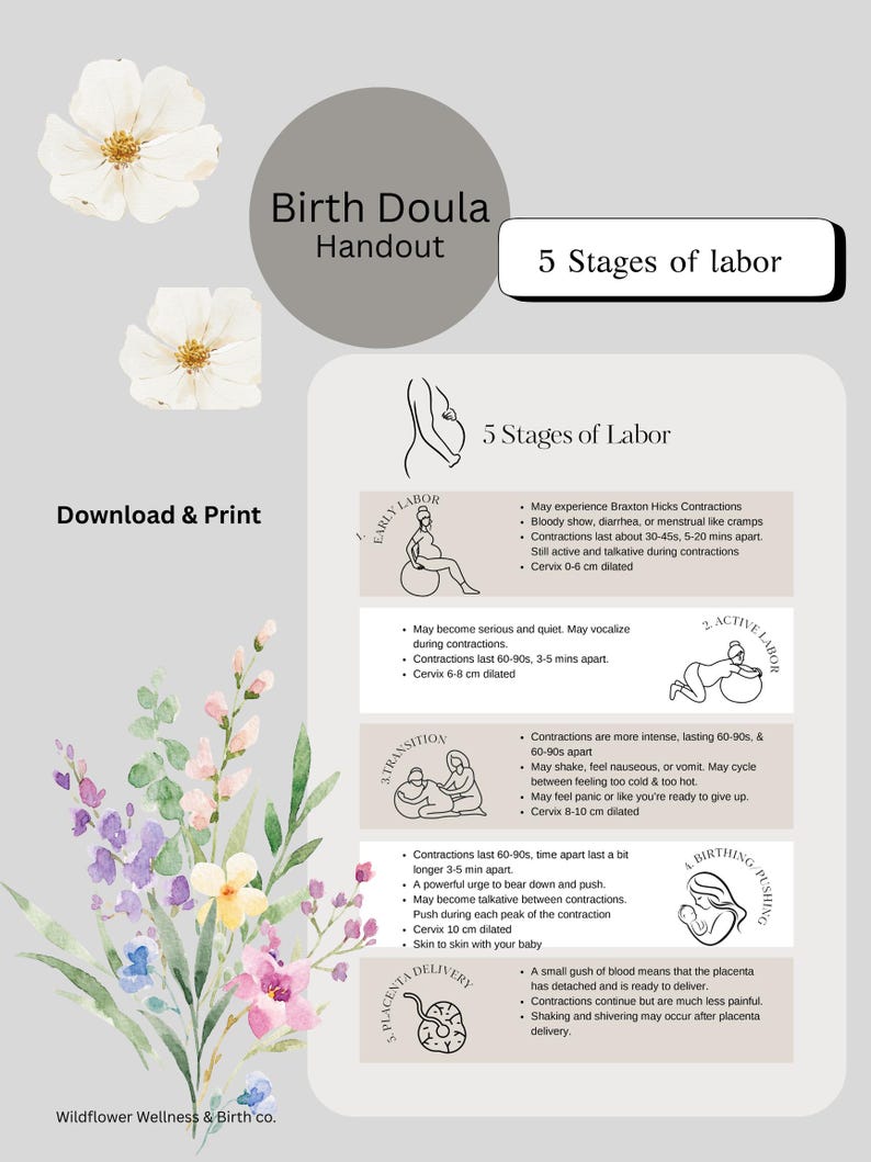 5 Stages of Labor Birth Doula Client Handout - Etsy