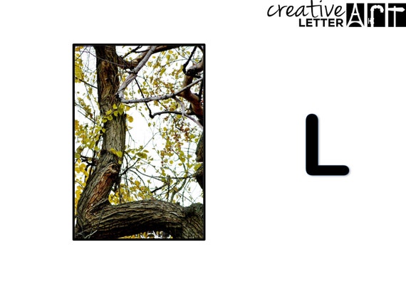 The Letter L In Nature