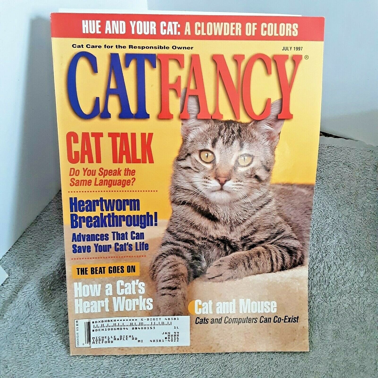 Cat Fancy Magazine