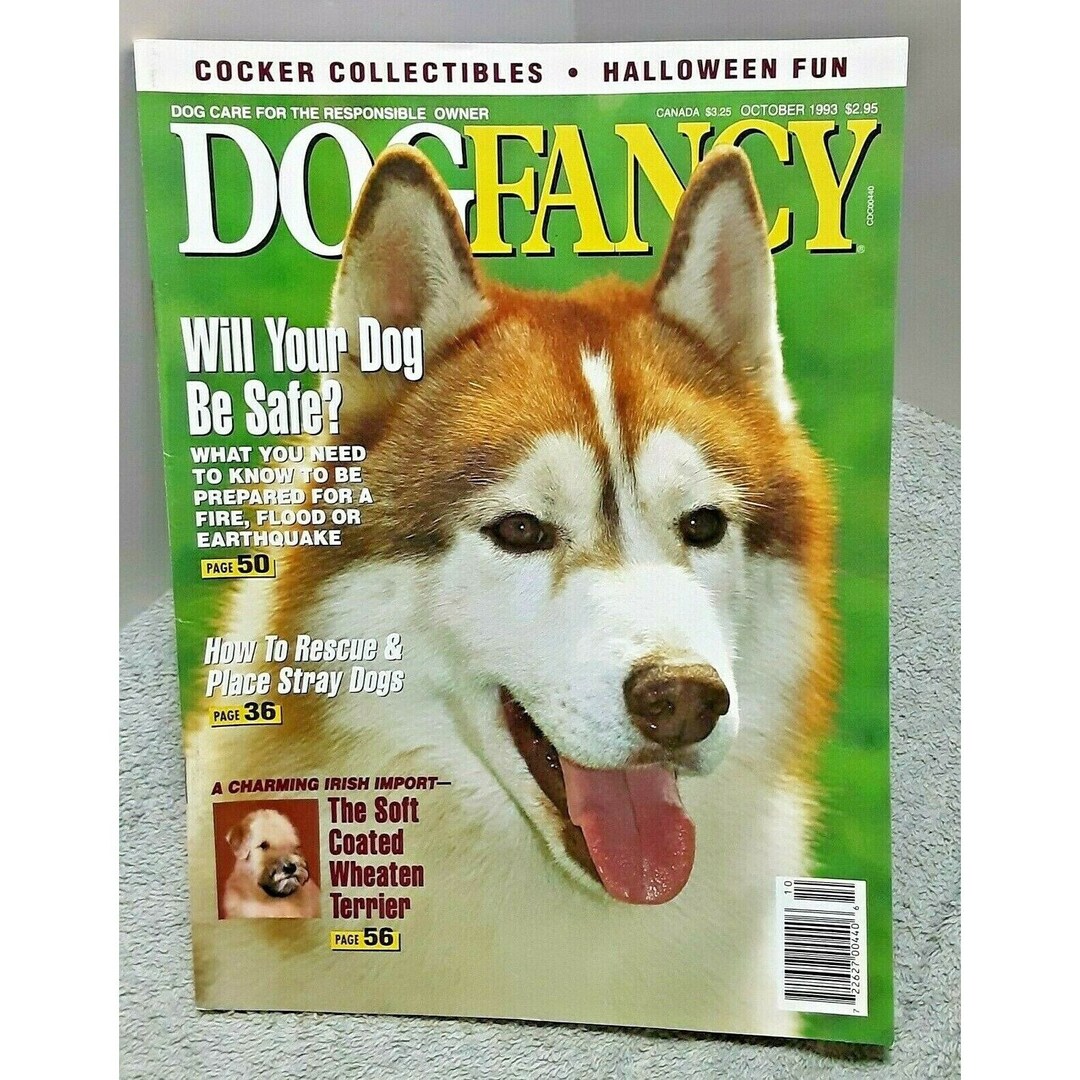 Dog Fancy Magazine October 1993 Soft Coated Wheaten Terrier - Etsy