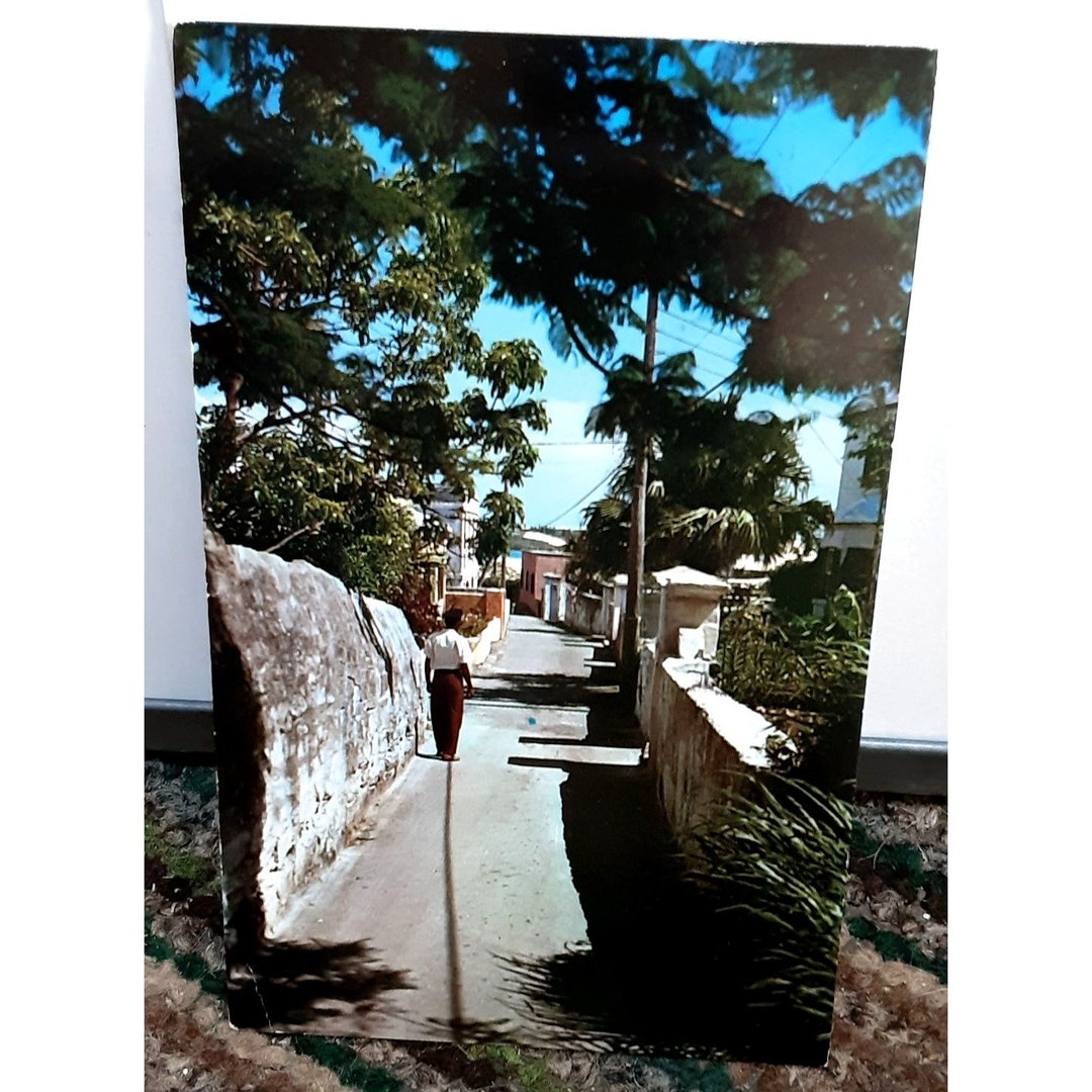 Vintage 1960s Quaint Old Lane St Georges Bermuda Vintage Postcard - Etsy