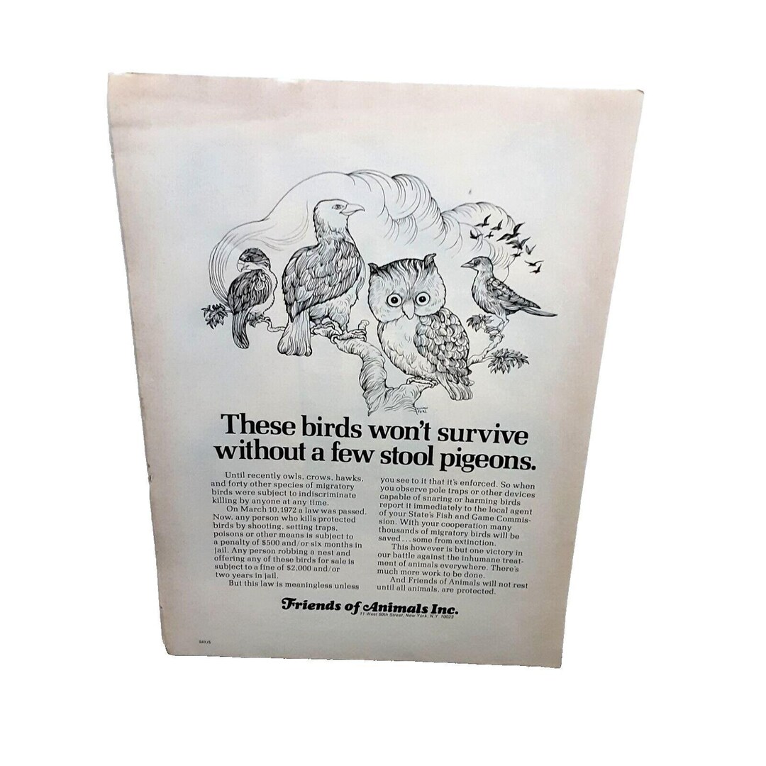 1972 Friends of Animals Owl Crow Hawks Original Print Ad 70s - Etsy